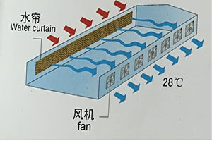 Factory Direct Fan And Pad Greenhouse Evaporative Cooling Systems