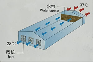 Factory Direct Fan And Pad Greenhouse Evaporative Cooling Systems